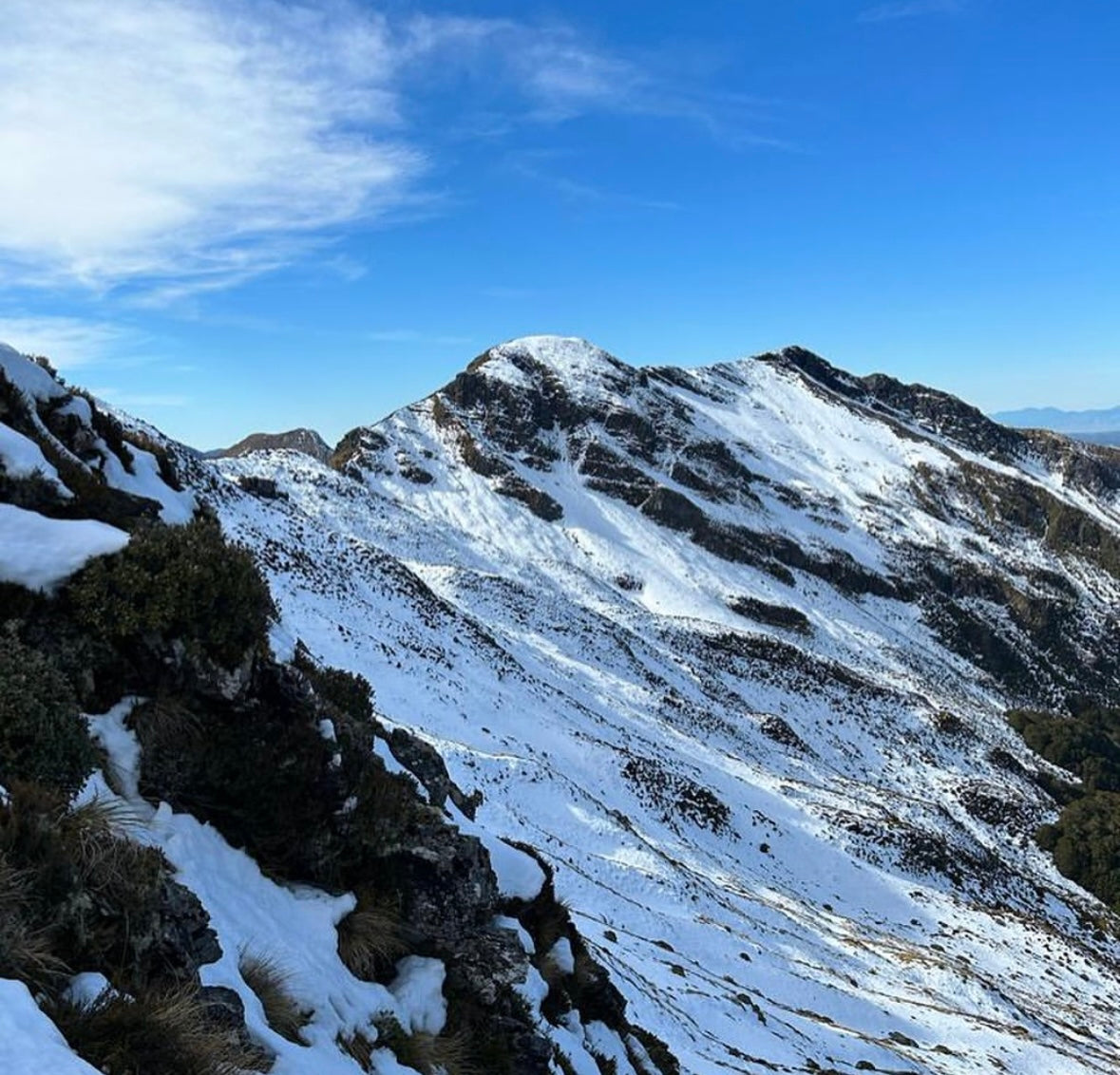 Hike to Kiwi Saddle Hut, Kahurangi National Park – MD Outdoors