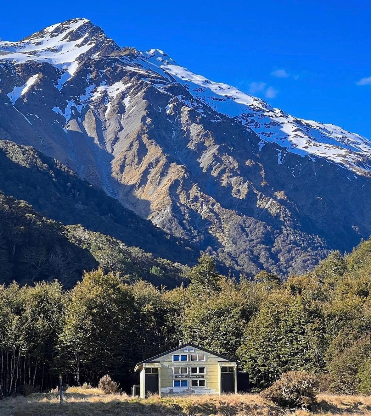 Hike the St James Walkway, Lewis Pass – MD Outdoors
