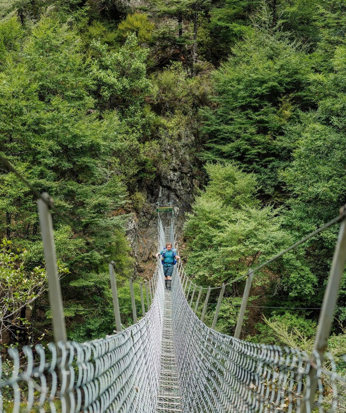Hike up to Mid Wairoa Hut, Wairoa Gorge – MD Outdoors